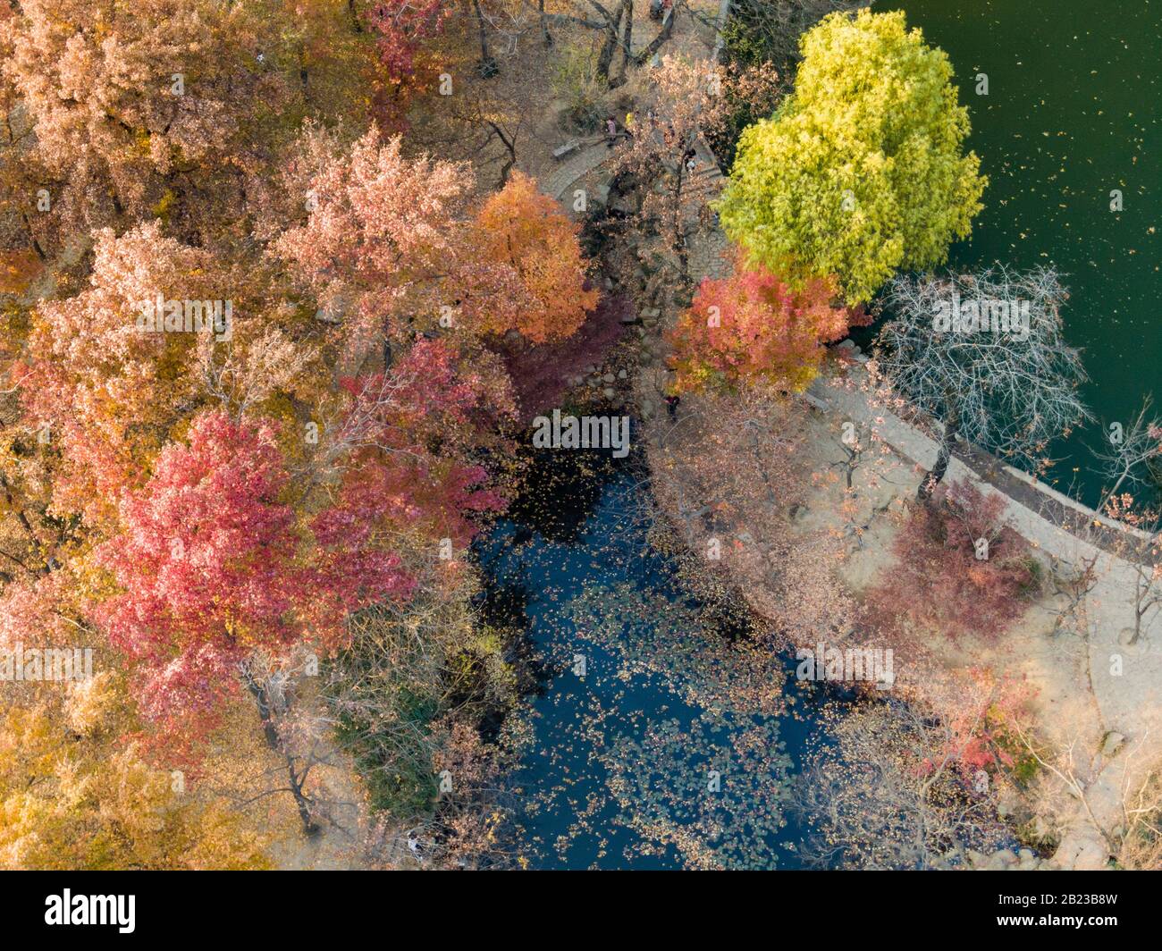 Aerial view of Tianping Shan (Tianping Mountain) during Fall/Autumn in ...