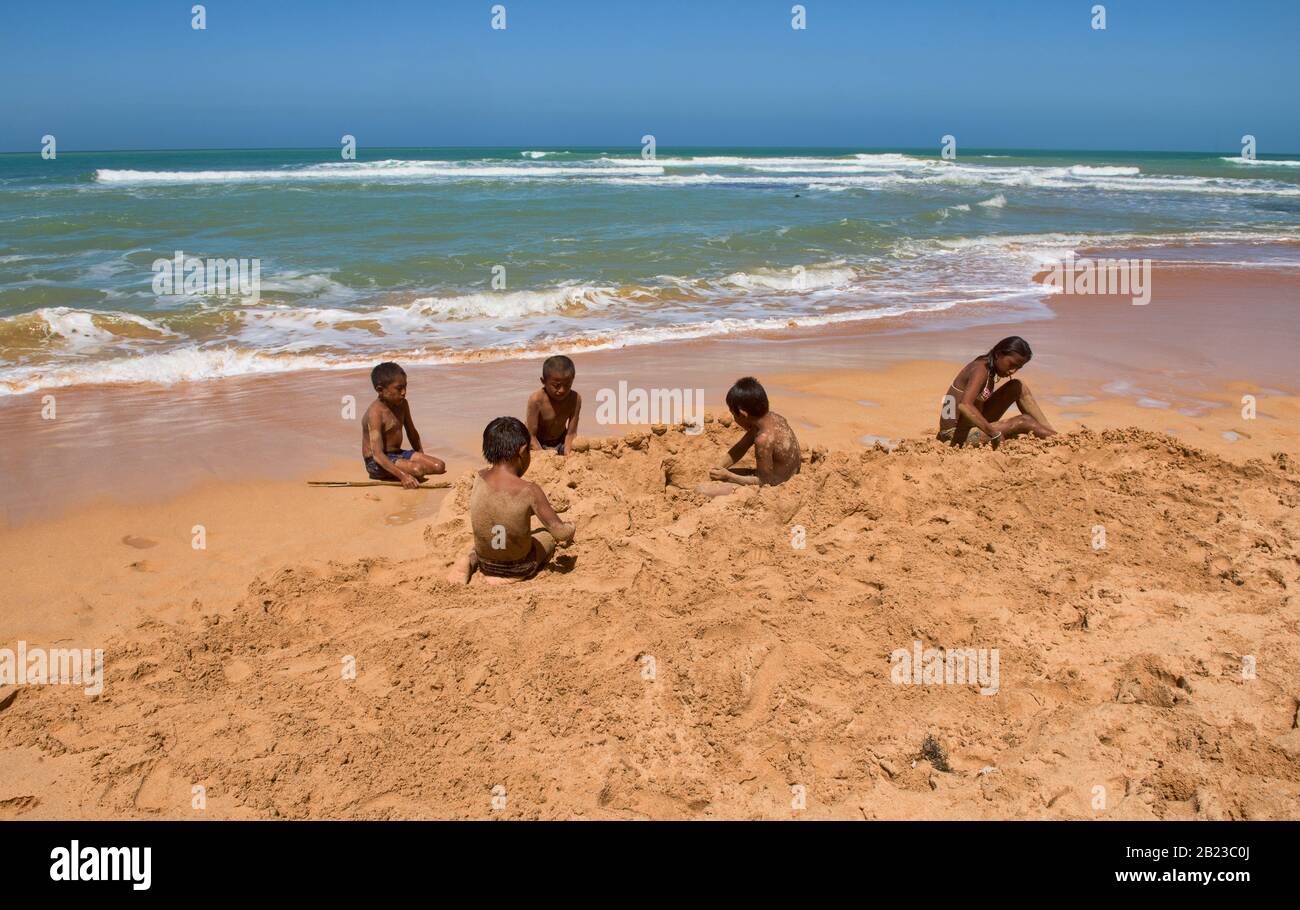 Taroa hi-res stock photography and images - Alamy