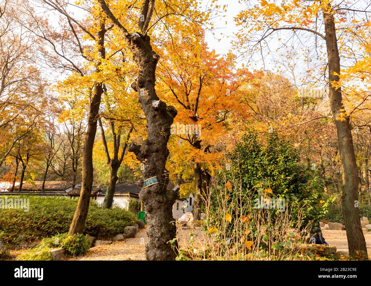 Tianping Shan (Tianping Mountain) during Fall/Autumn in Suzhou, Jiangsu ...
