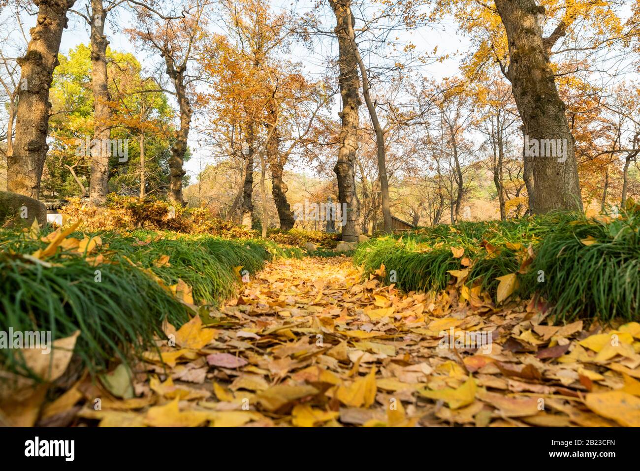 Chinese mountain pathway hi-res stock photography and images - Alamy