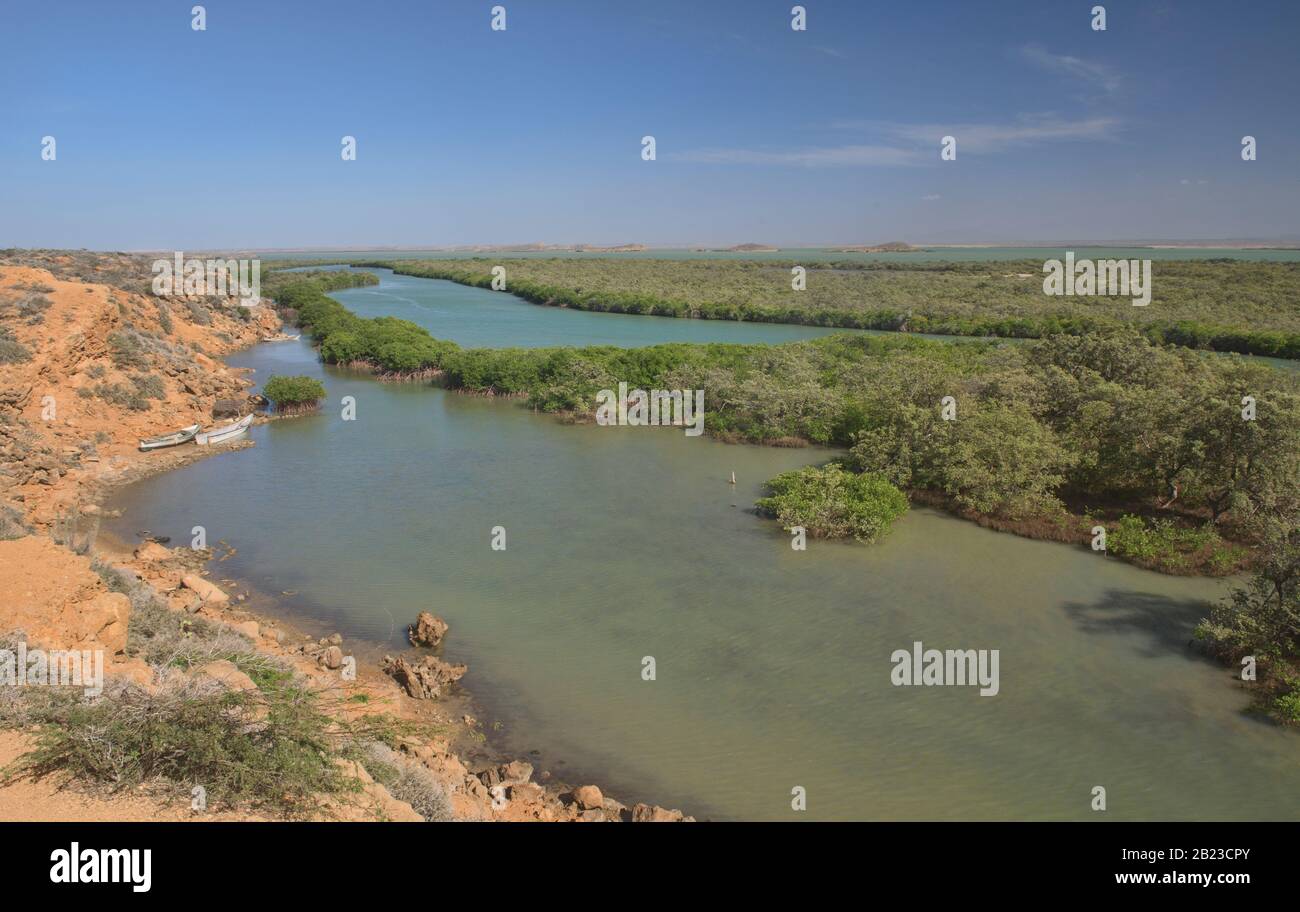 The desert, mangrove swamps, and the Caribbean, Punta Gallinas ...