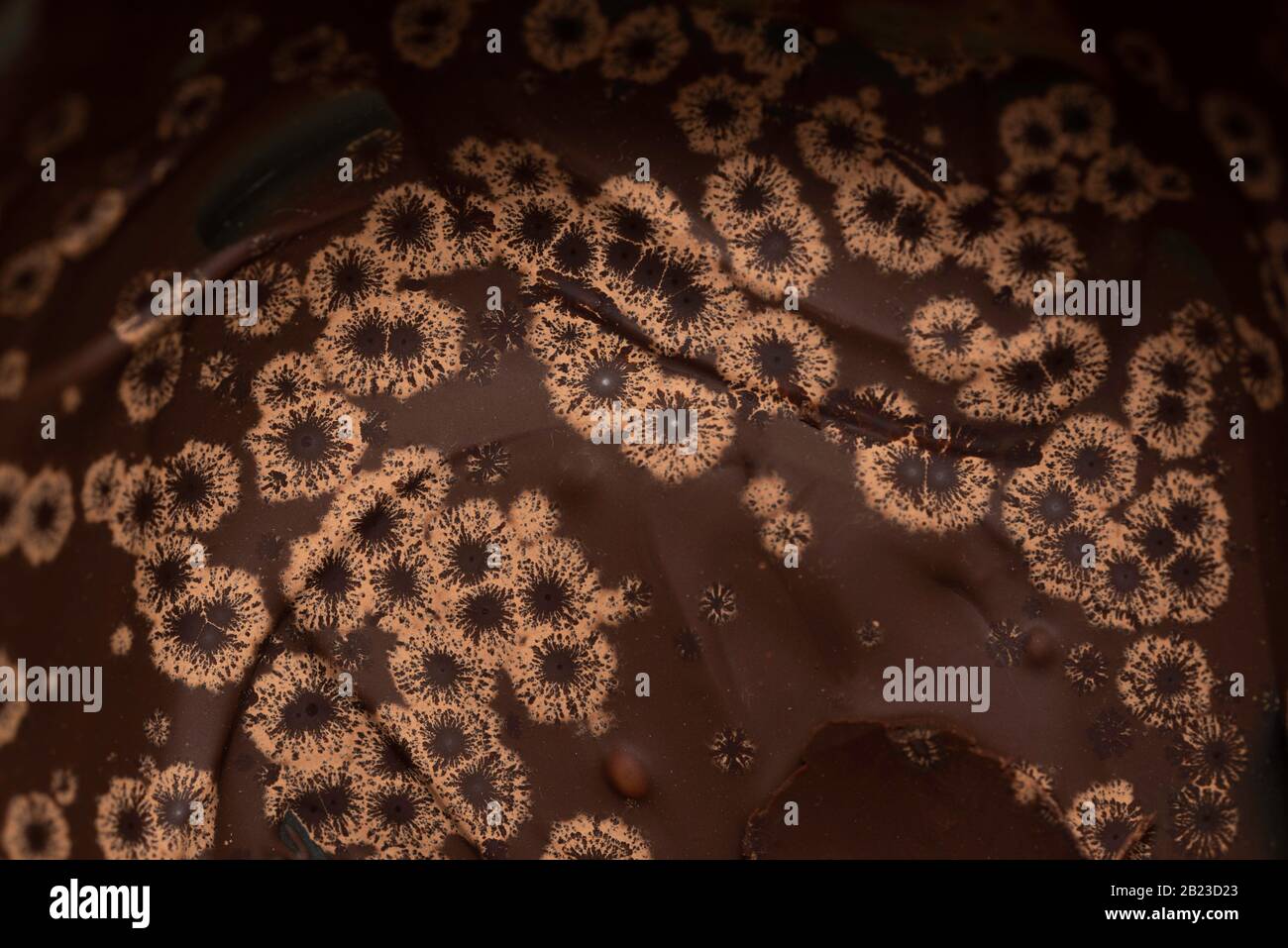 Crystallized flowers hi-res stock photography and images - Alamy