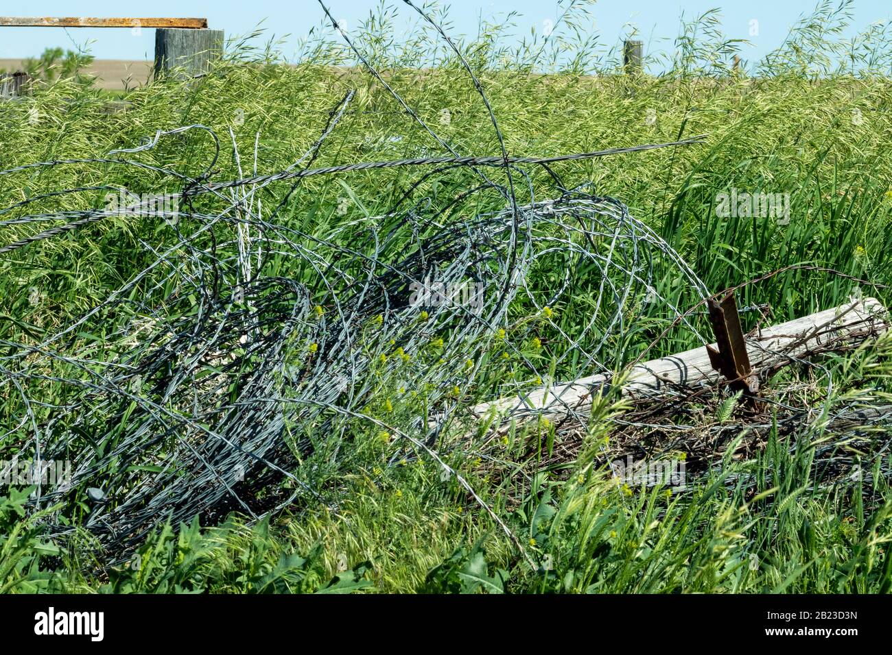 Old roll rusty barbed wire hi-res stock photography and images - Alamy