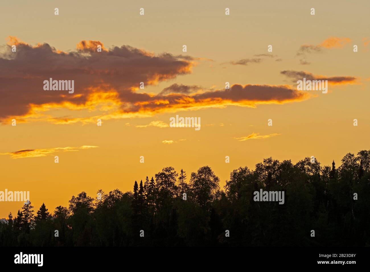 Golden Clouds over Silhouetted Trees on Caribou Lake in The Boundary ...