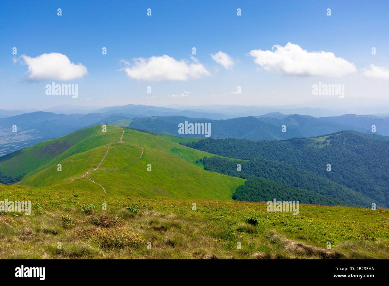 Blue green hi hi-res stock photography and images - Alamy