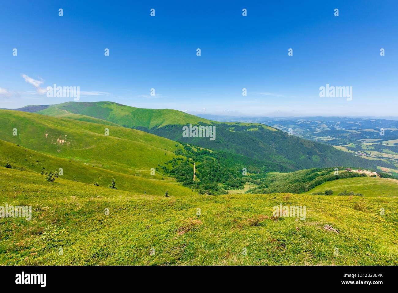 green rolling hills of mountain ridge borzhava. grassy alpine meadows ...