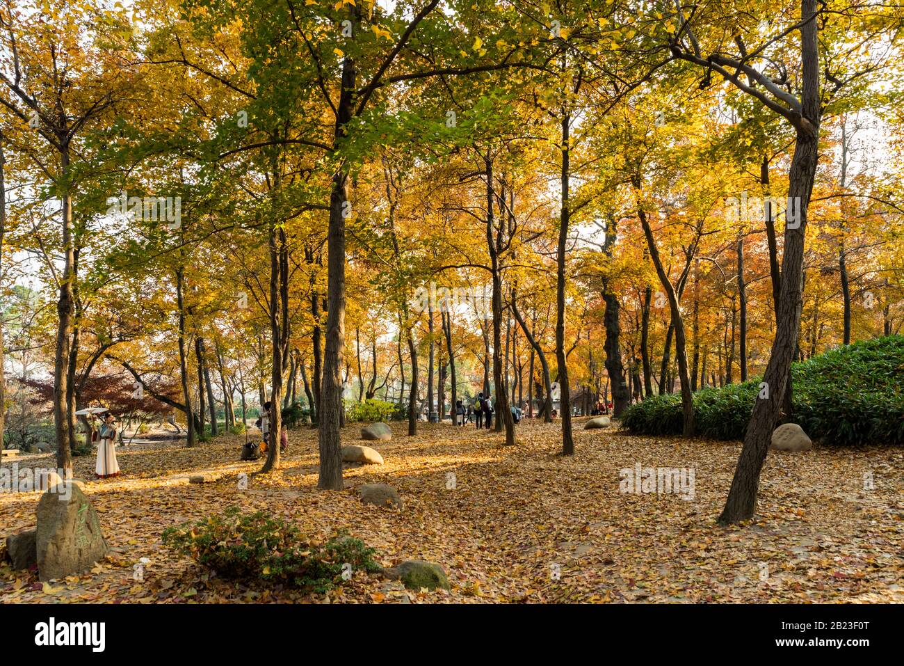 Suzhou jiangsu china model hi-res stock photography and images - Alamy