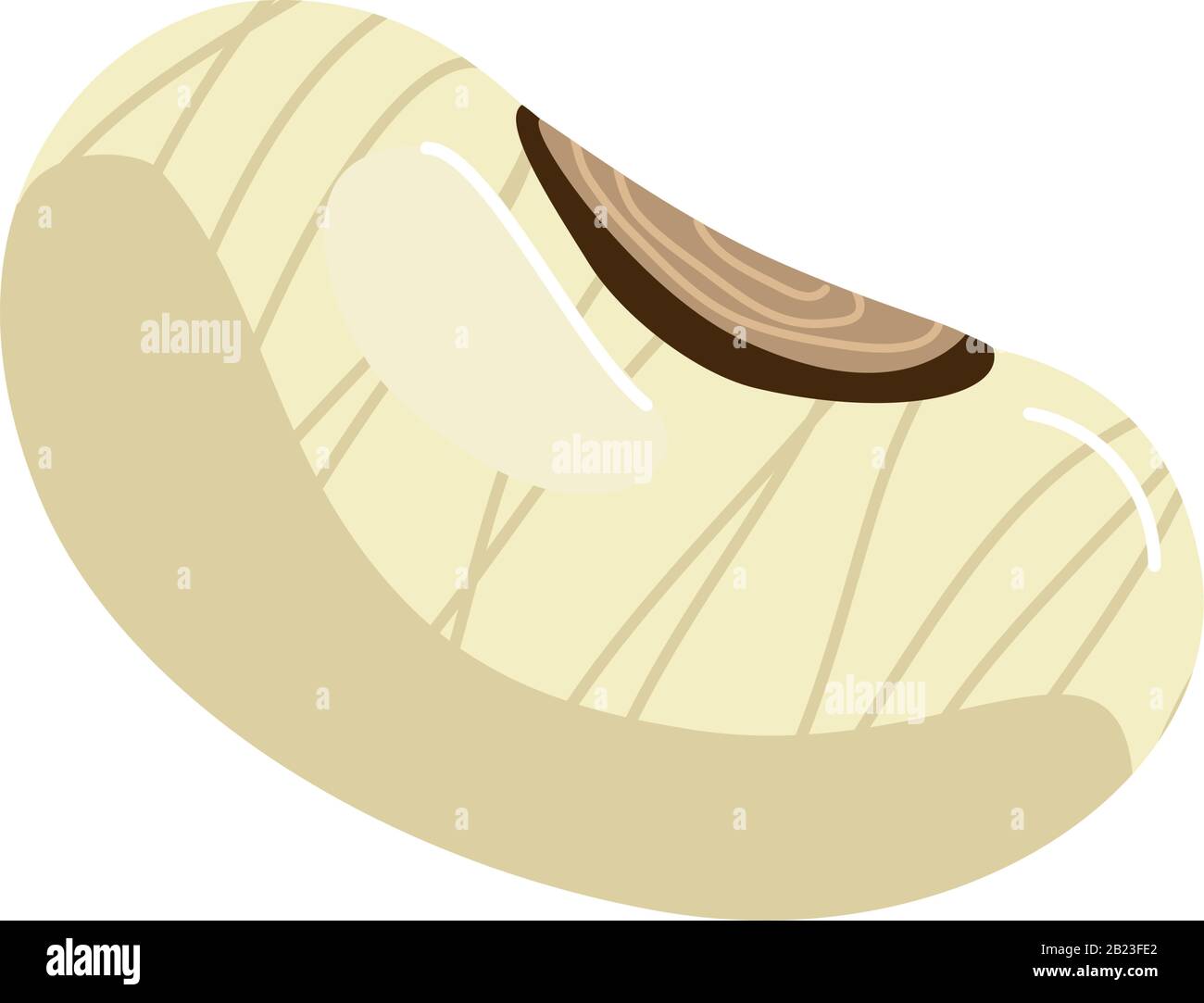 bean seed organic isolated icon Stock Vector Image & Art - Alamy