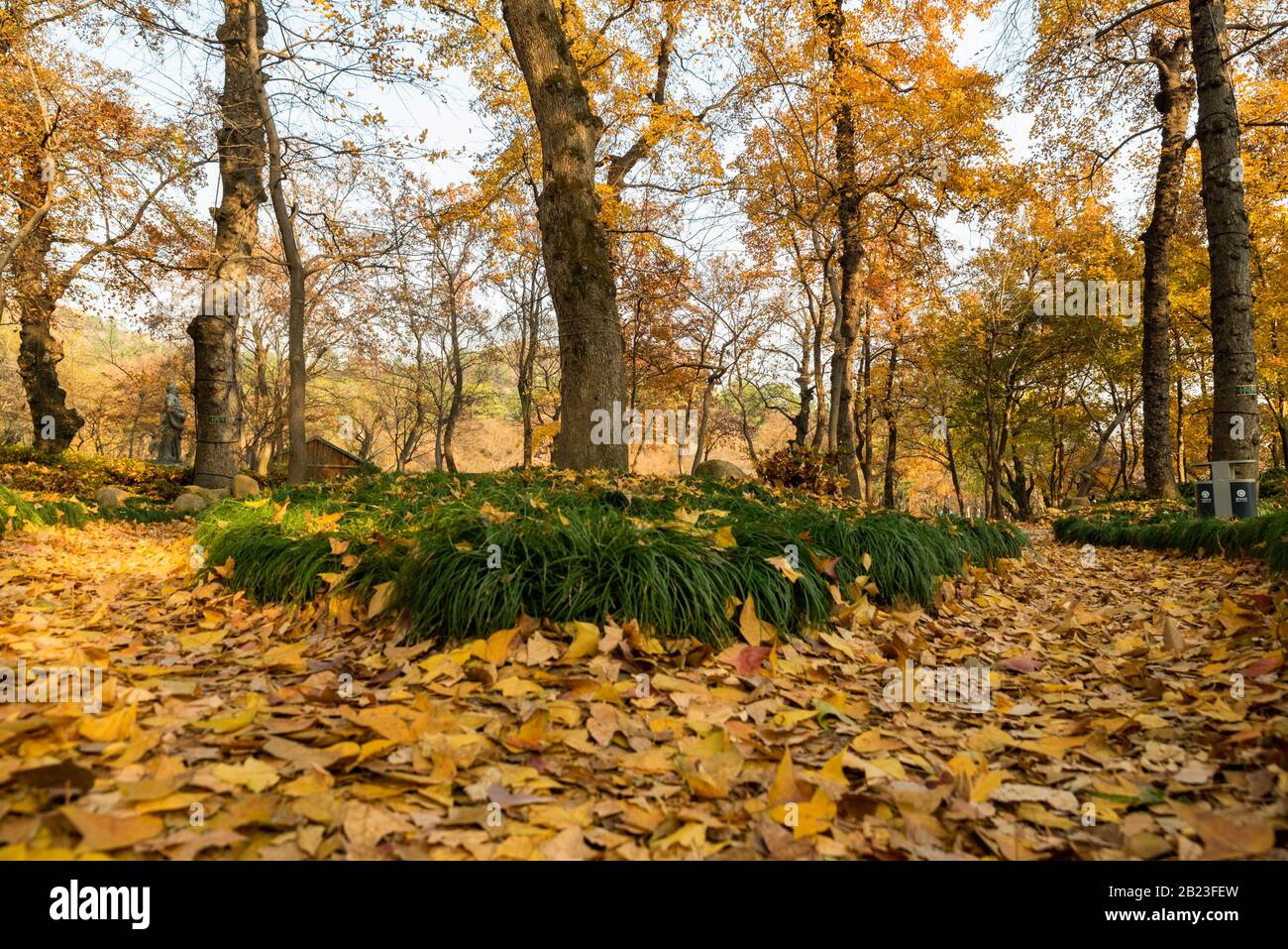 Tianping Shan (Tianping Mountain) during Fall/Autumn in Suzhou, Jiangsu ...