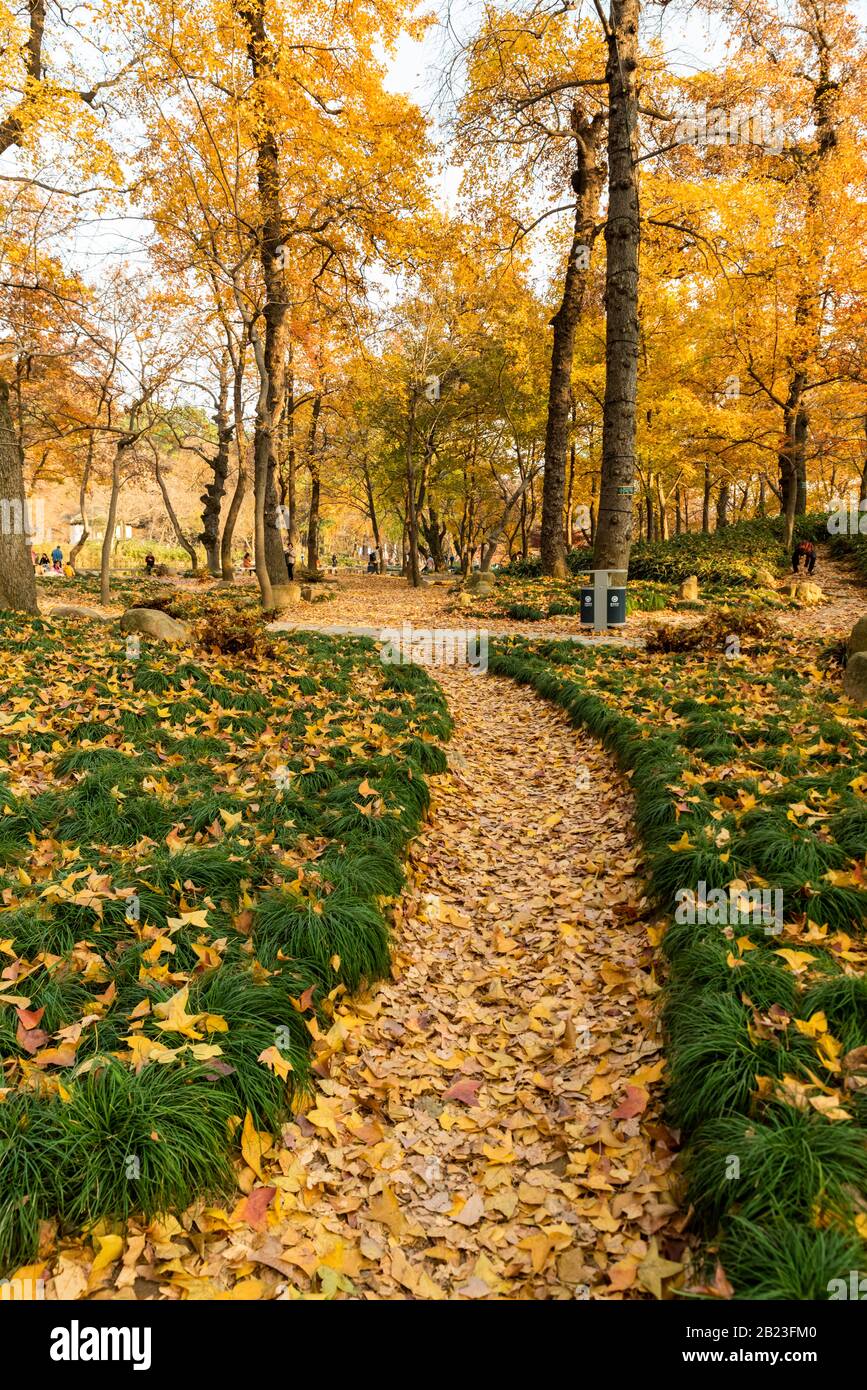 Tianping Shan (Tianping Mountain) during Fall/Autumn in Suzhou, Jiangsu ...