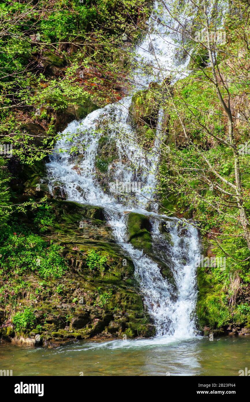 waterfall from the forest on the hill. beautiful nature scenery in ...