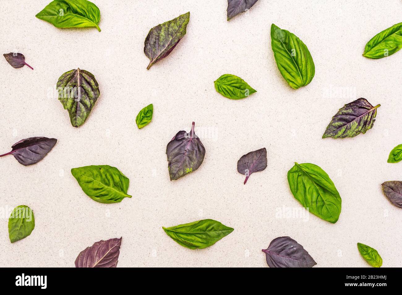 Green and purple basil leaves above stone concrete background. Fresh ...