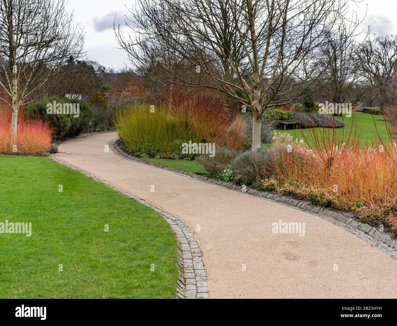 Ornamental bark borders hi-res stock photography and images - Alamy