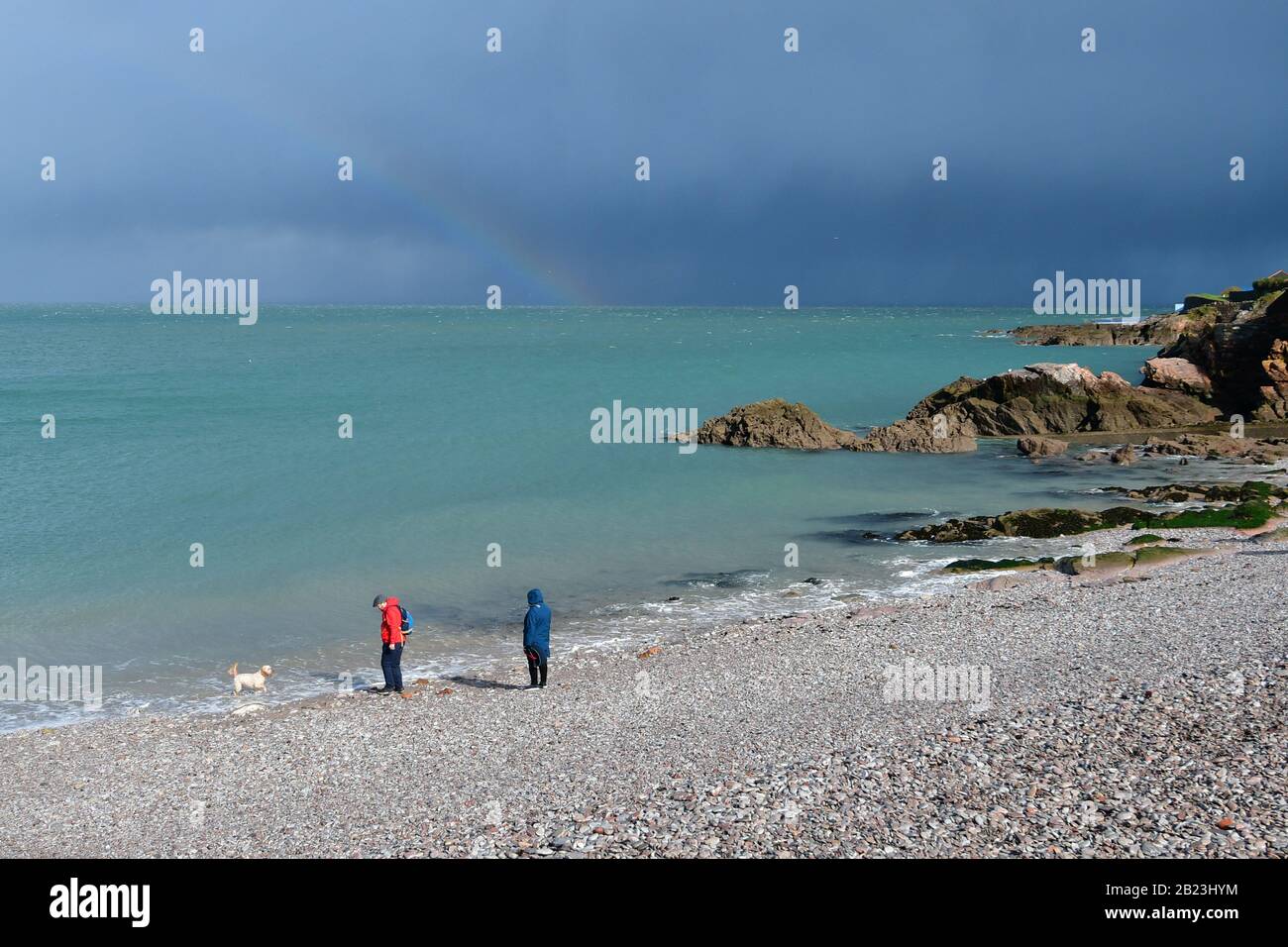 Pebbles brixham hi-res stock photography and images - Alamy