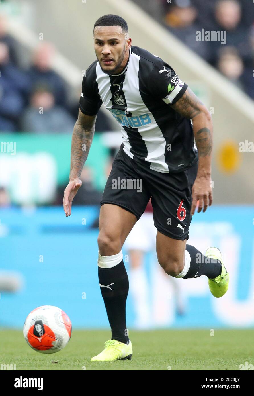 James lascelles hi-res stock photography and images - Alamy