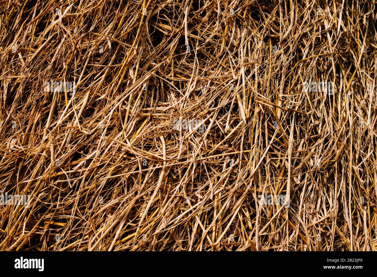 Hay, haystack, agriculture, cart. Rural landscape, view of rice fields ...