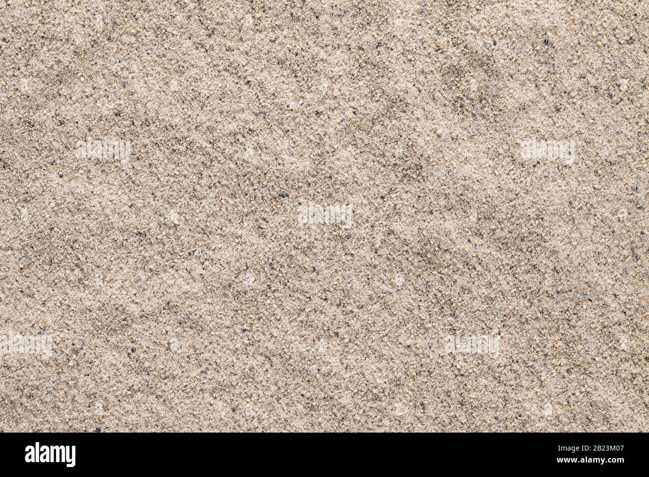 Ground White Pepper texture, full frame background. Used as a spice in ...