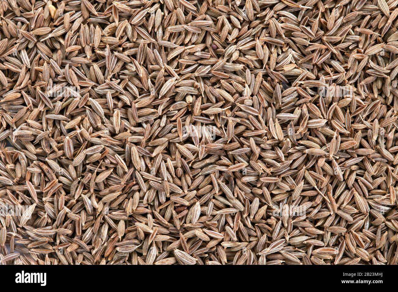 Cumin seeds texture, full frame background. Second most popular spice ...