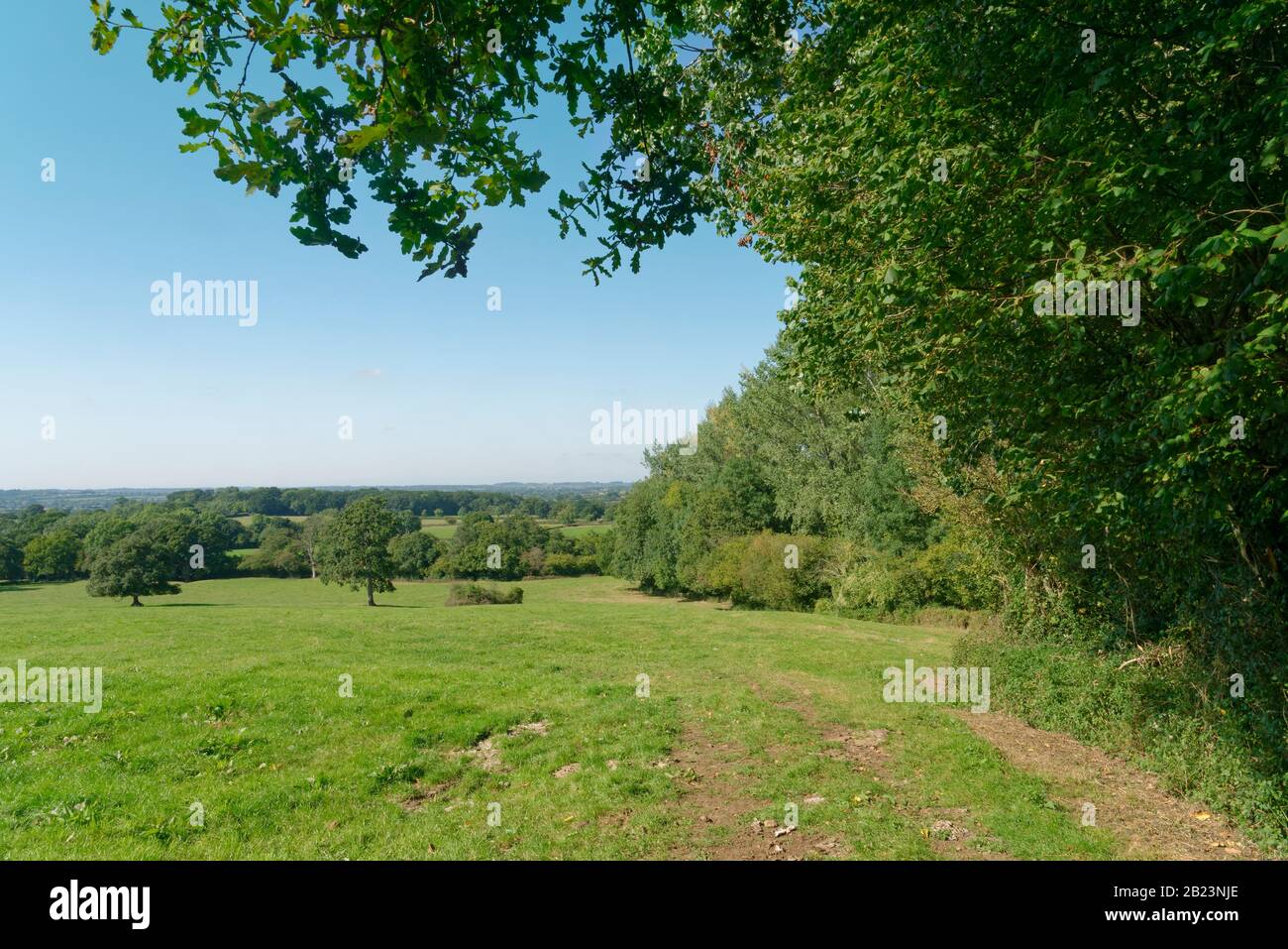 Spye park hi-res stock photography and images - Alamy