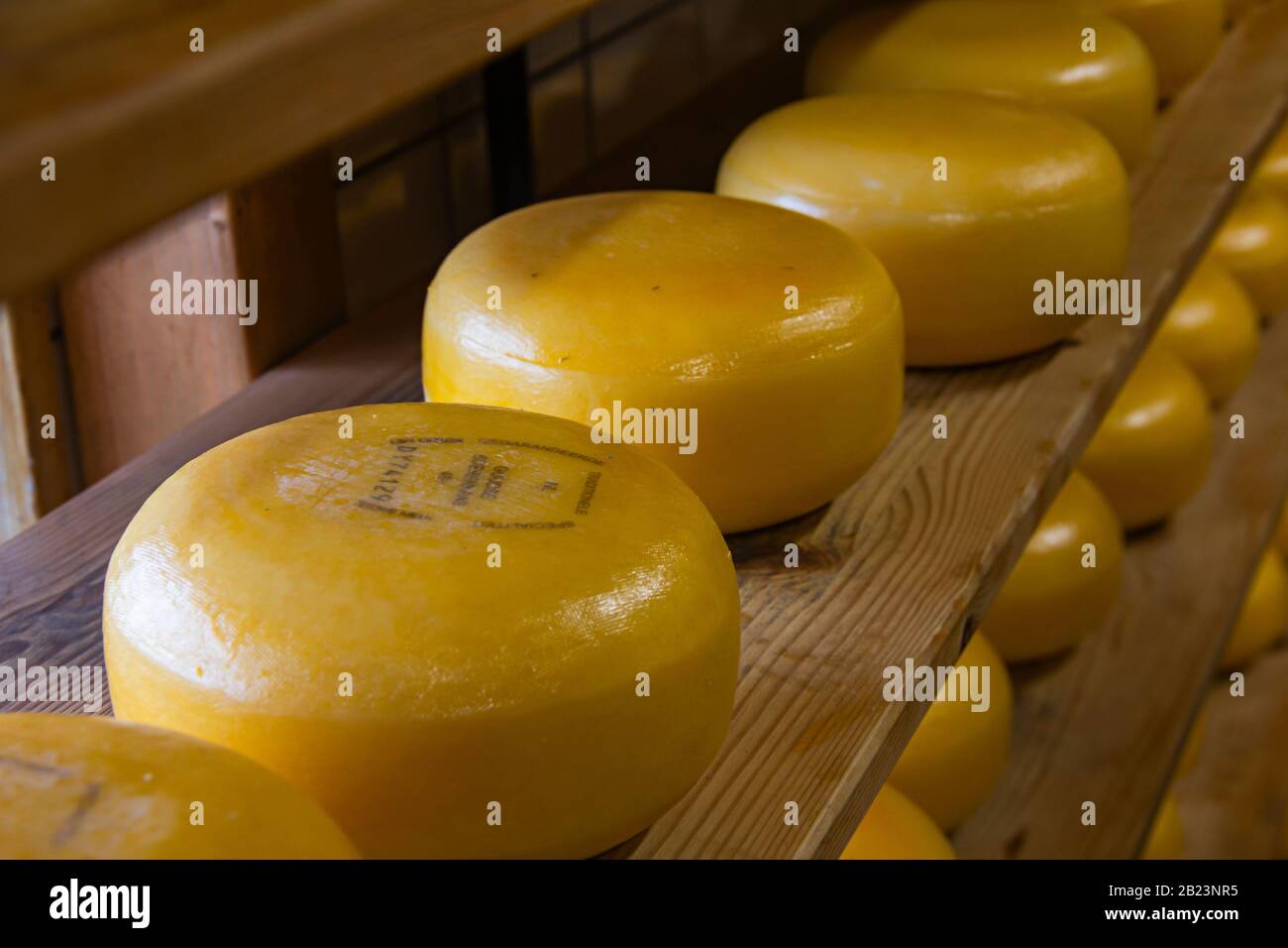 Dutch cheese museum hi-res stock photography and images - Alamy