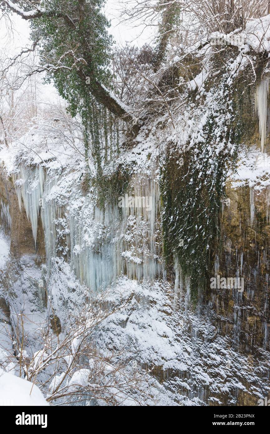 Colchis forest hi-res stock photography and images - Alamy