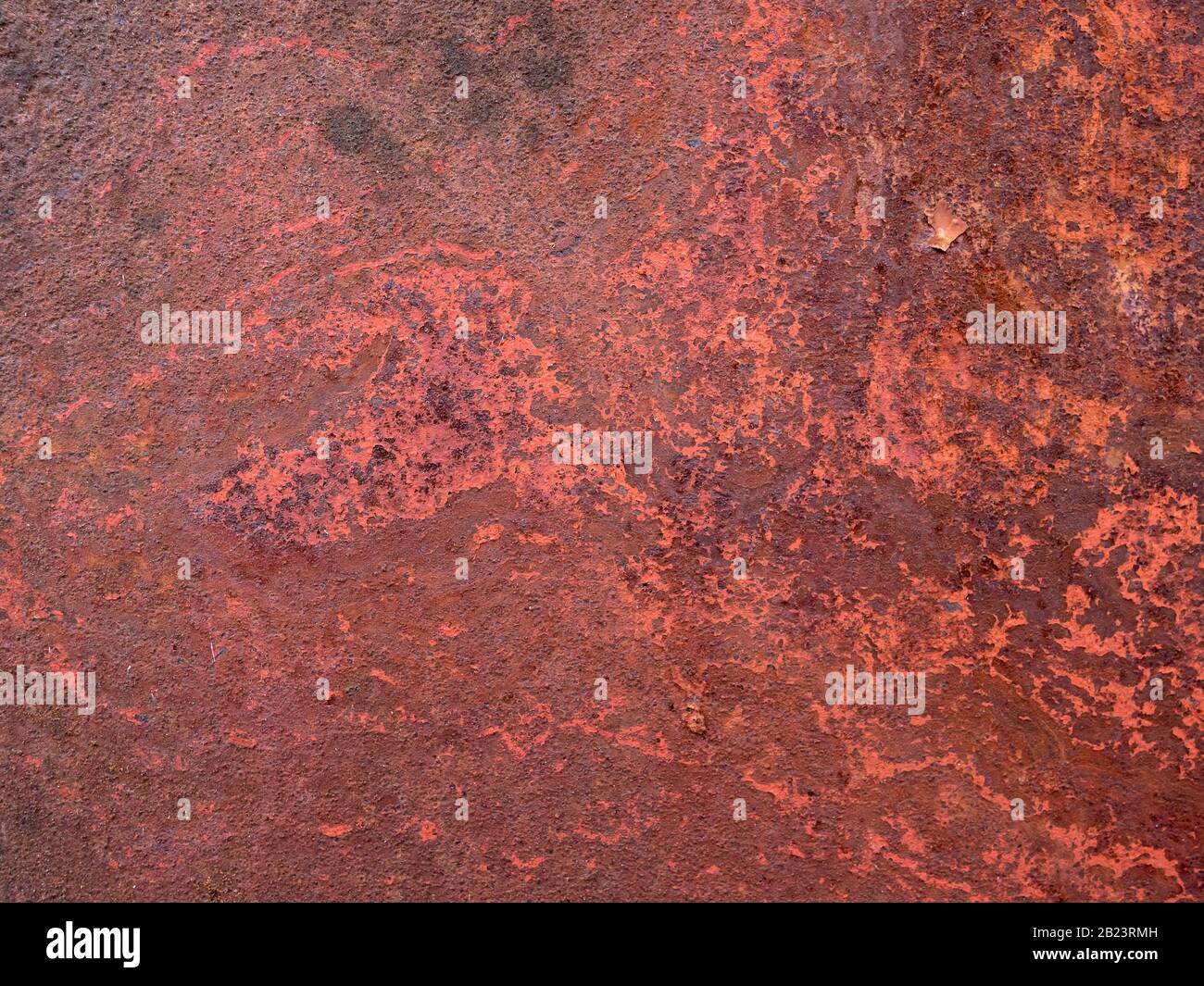 Reddish plate hi-res stock photography and images - Alamy