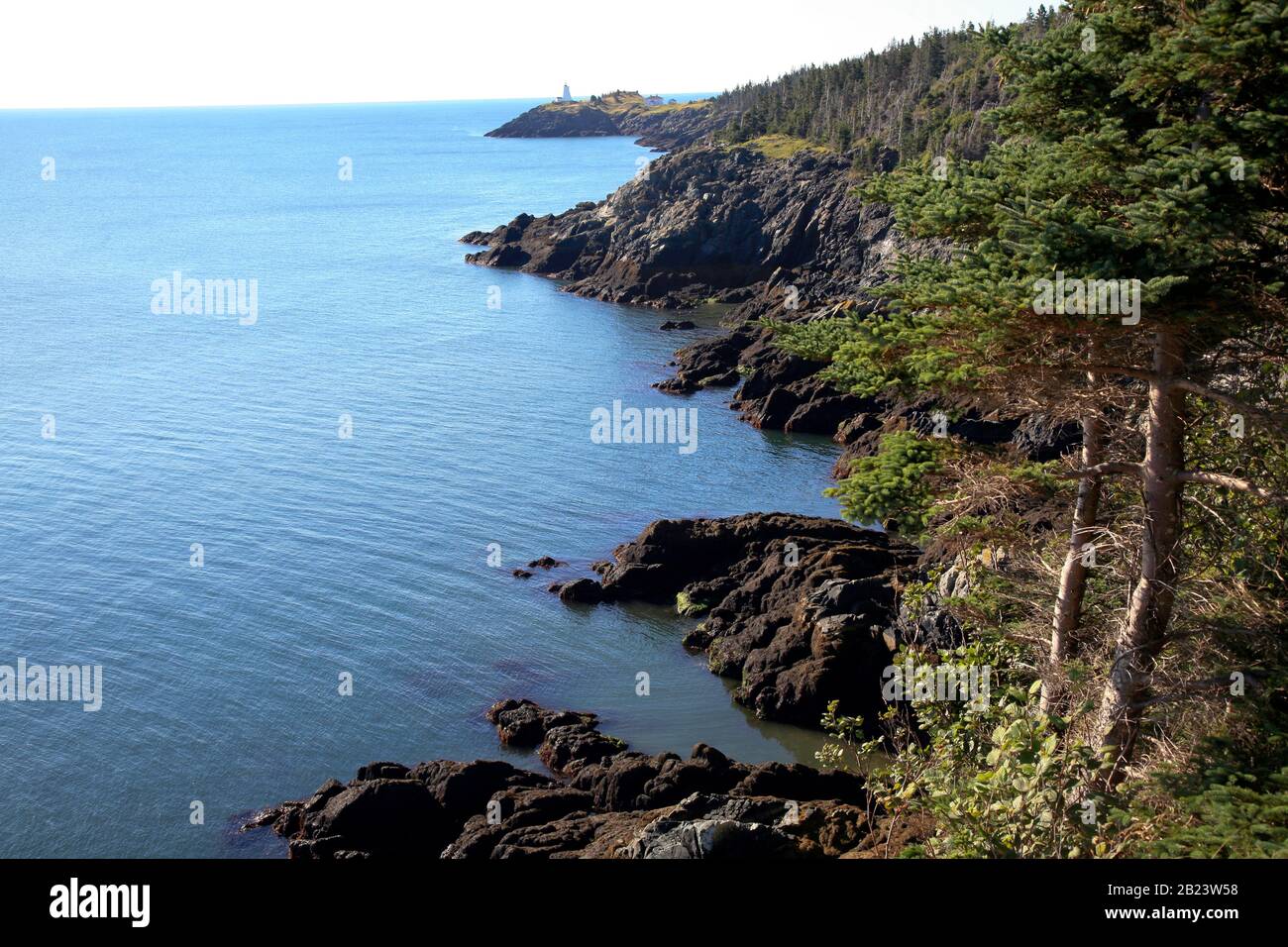 Grand Manan Island is a small island of the coast of New Brunswick on Canada's Atlantic Coast ...