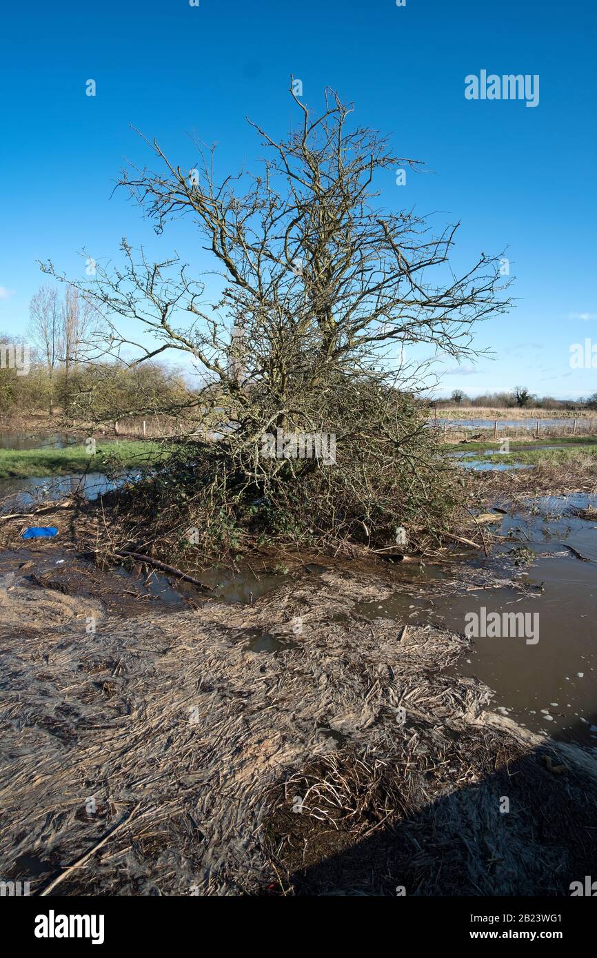 Debris washed up from a swollen river Stock Photo - Alamy