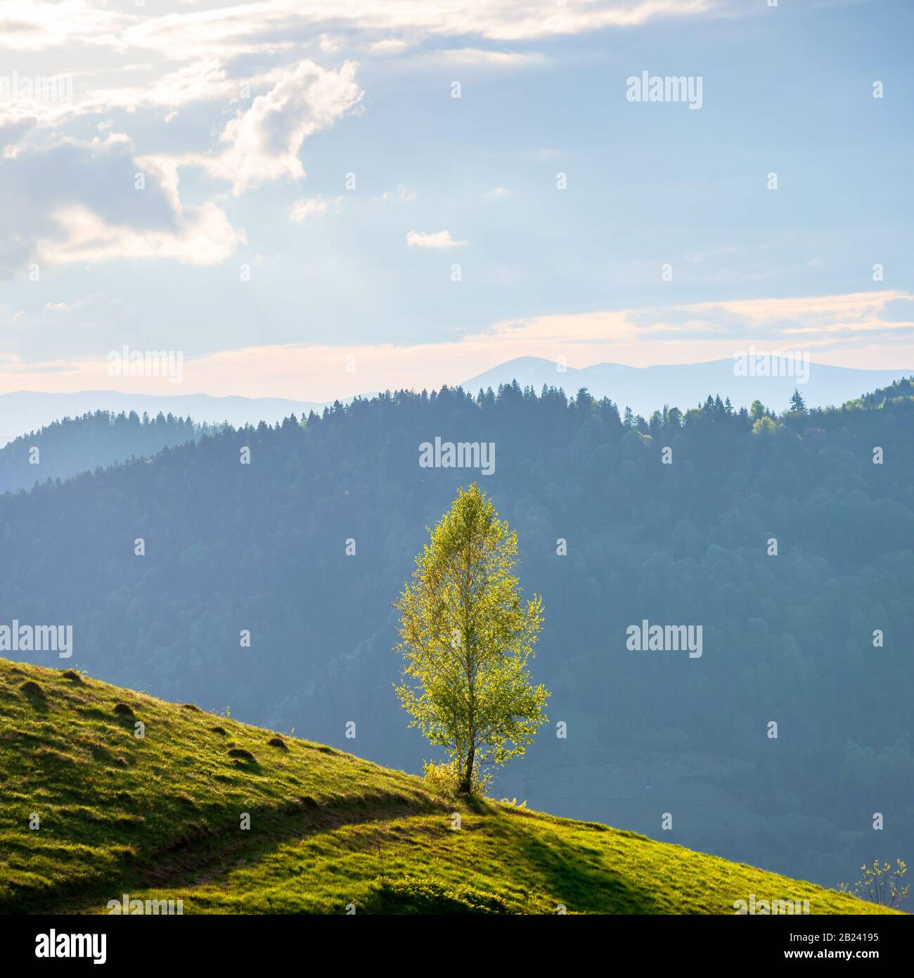 Big green hill with tree hi-res stock photography and images - Alamy