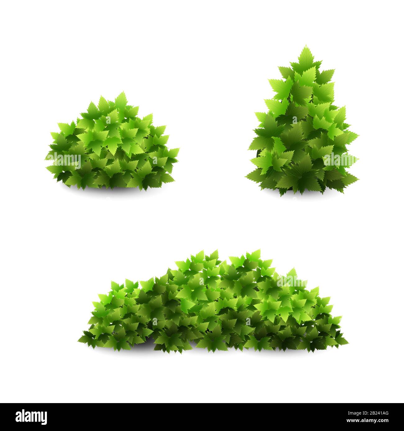 Garden bush. Green garden vegetation bushes icons Stock Vector Image ...