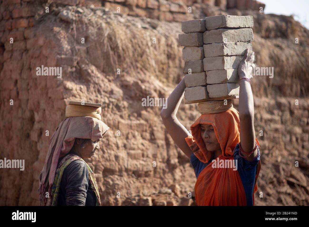 Lalitpur, Nepal. 29th Feb, 2020. Labourer carrying raw bricks at the ...