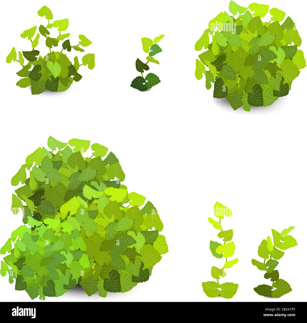 Garden bush. Green garden vegetation bushes icons Stock Vector Image ...