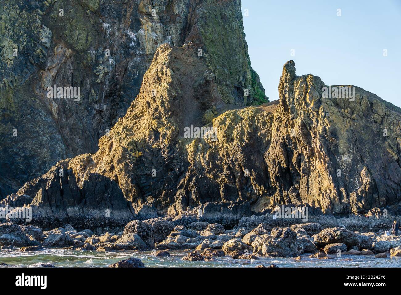 A view of a section of the famous Haystack Rock Monolith in Cannon ...