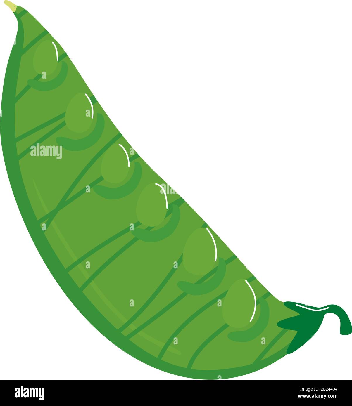 pod pea plant isolated icon Stock Vector Image & Art - Alamy