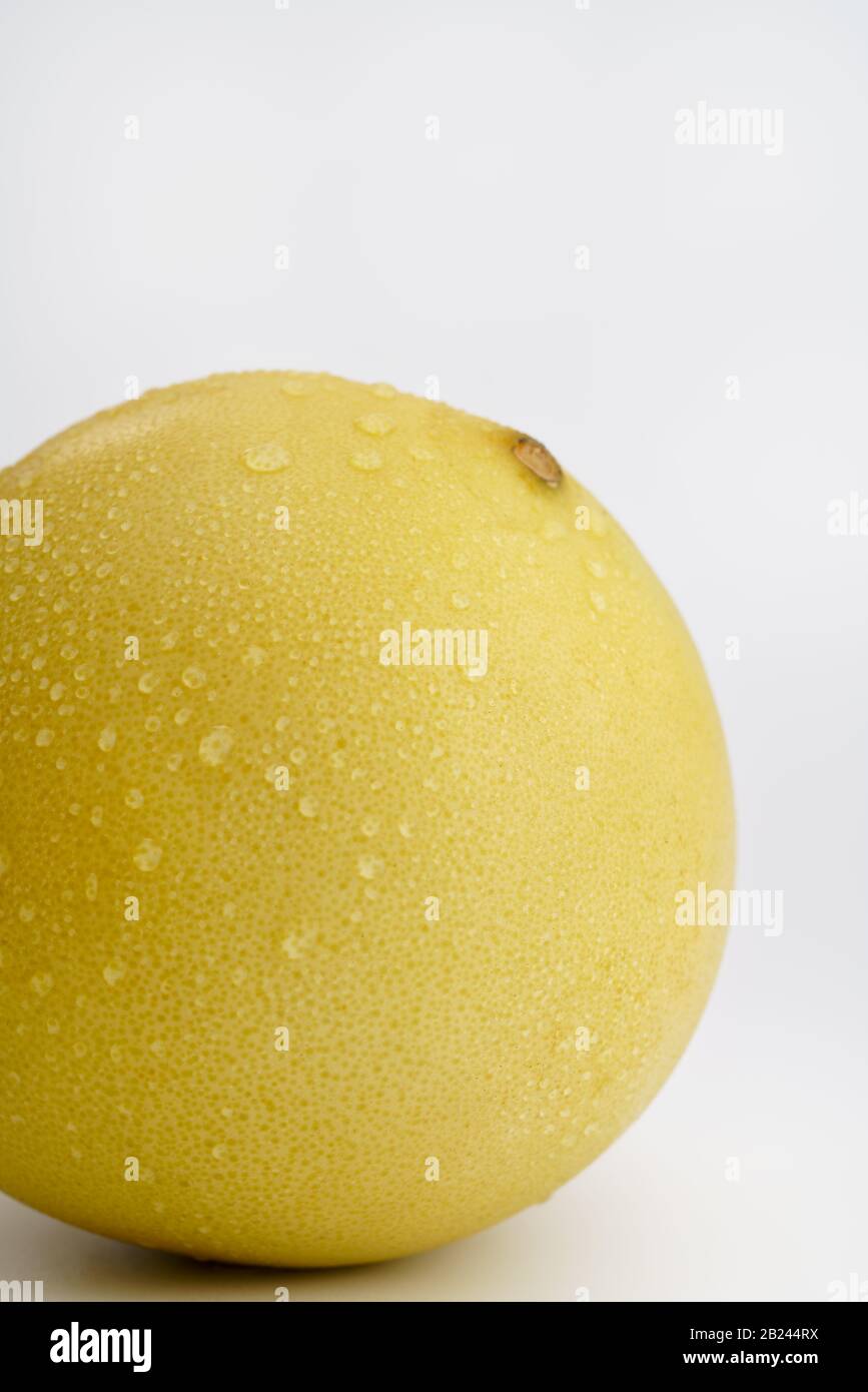 Yellow pomelo on white background, high resolution Stock Photo - Alamy