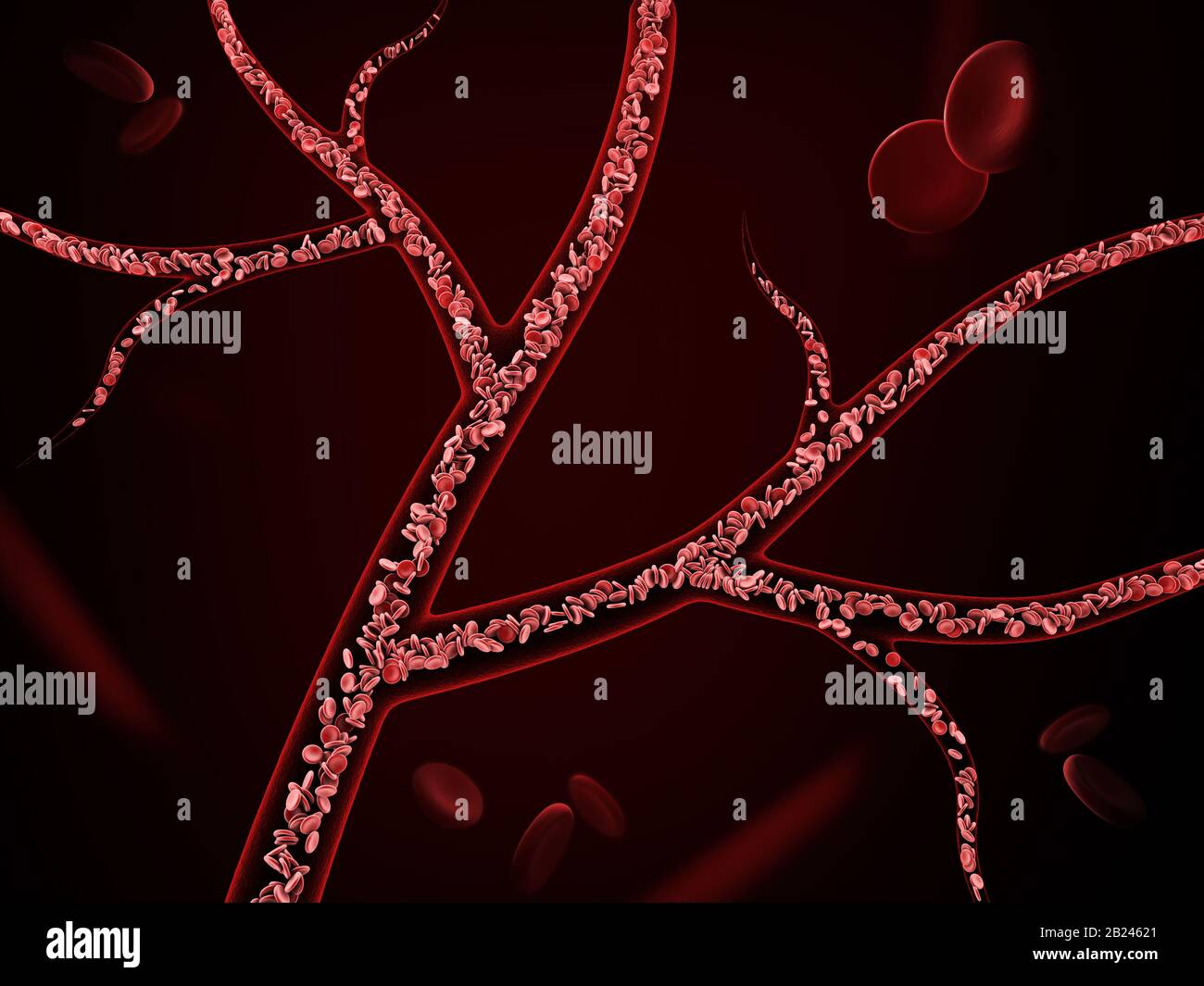 3d Illustration of red blood cells in vein on black background Stock ...