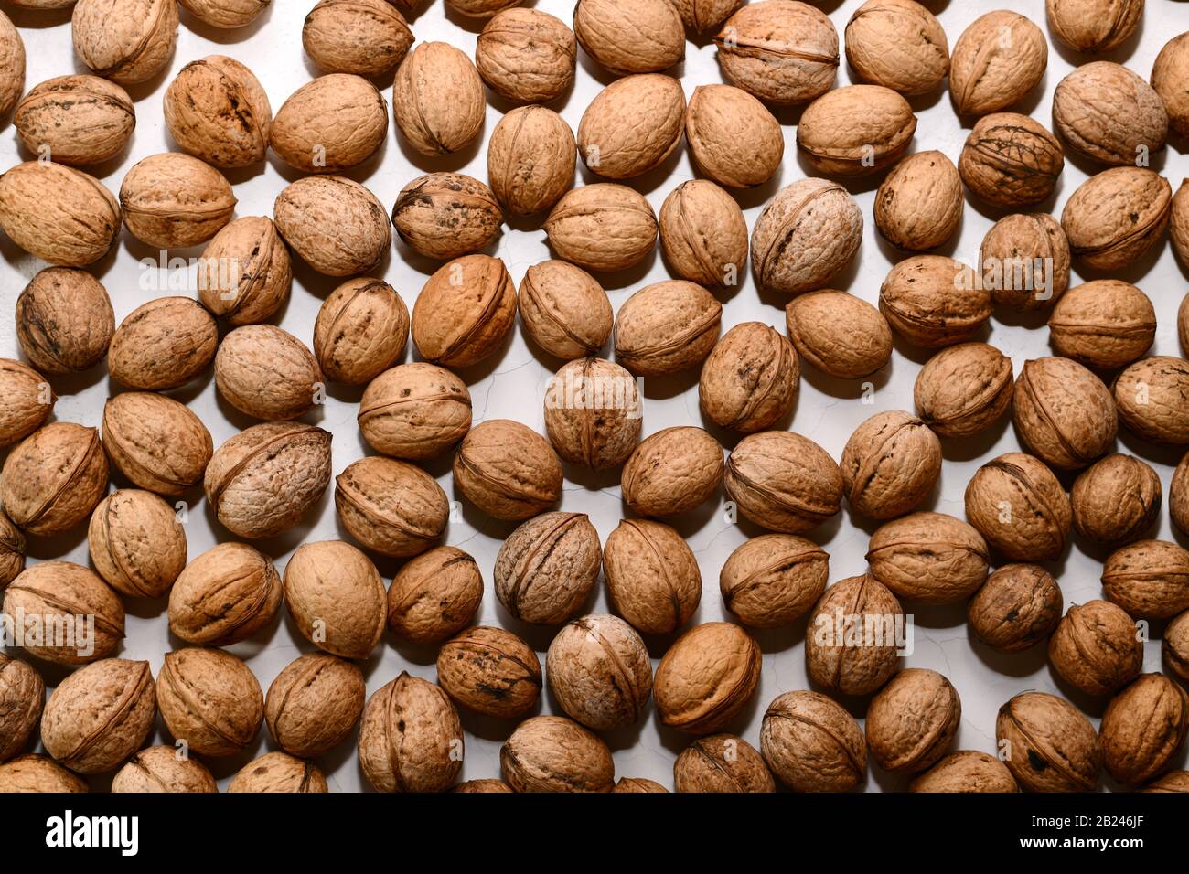 The background of walnuts on a white background, voluminously ...