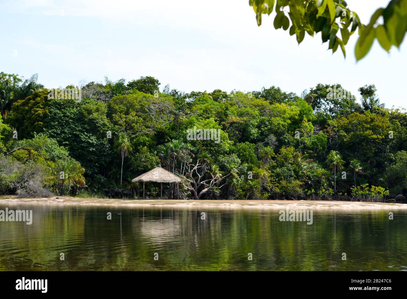 Water landscape in the Amazonian rain forest, north of Brazil Stock ...
