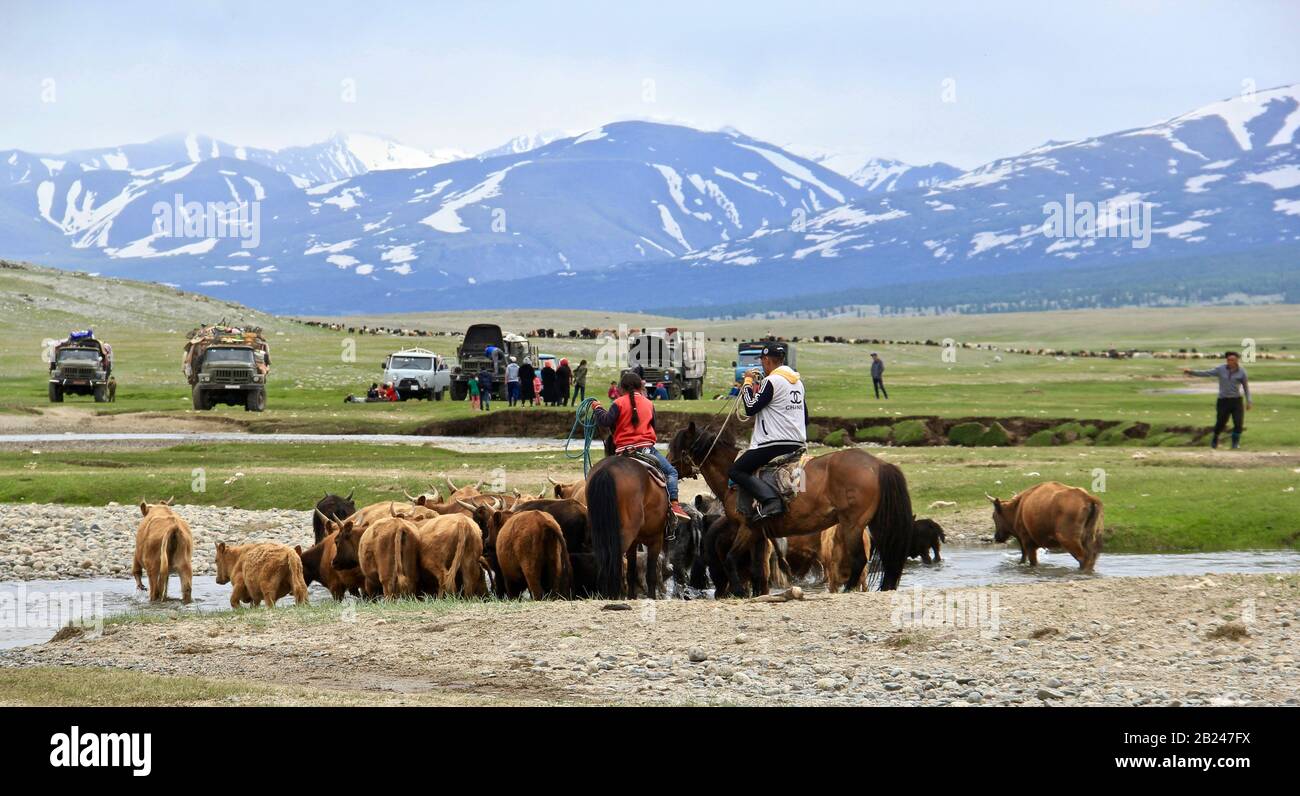 Mongolian lifestyle, Nomadic lifestyle in Western Mongolia Stock Photo ...
