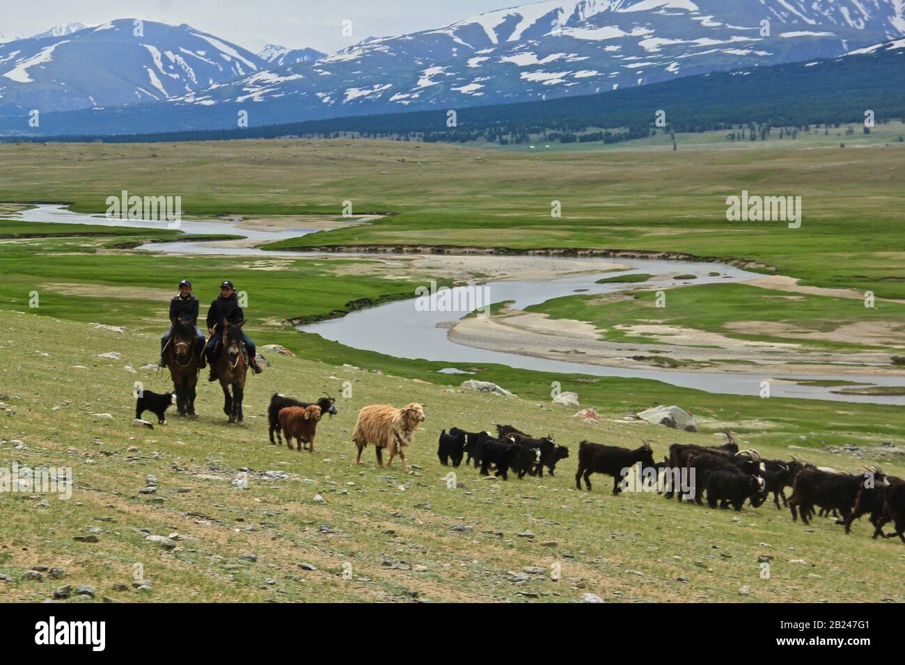 Mongolian lifestyle, Nomadic lifestyle in Western Mongolia Stock Photo ...