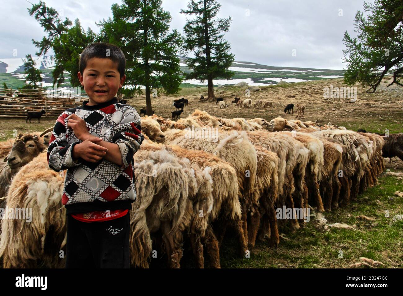 Mongolian lifestyle, Nomadic lifestyle in Western Mongolia Stock Photo ...
