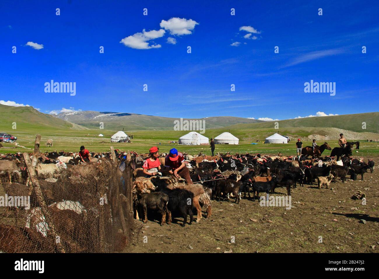 Mongolian lifestyle, Nomadic lifestyle in Western Mongolia Stock Photo ...