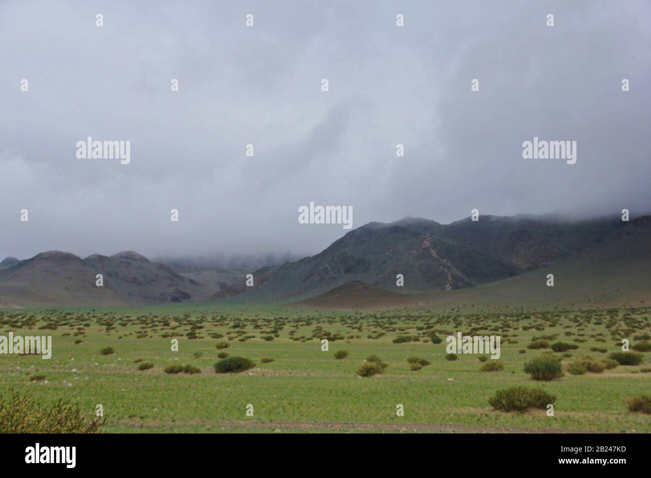 Altai mountains hi-res stock photography and images - Alamy