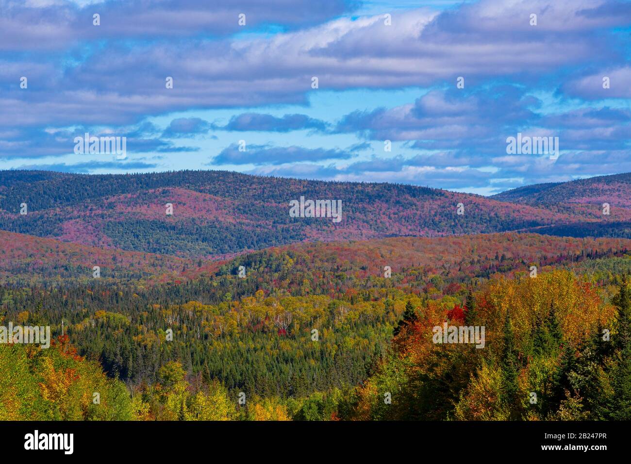 Parc mont tremblant hi-res stock photography and images - Alamy