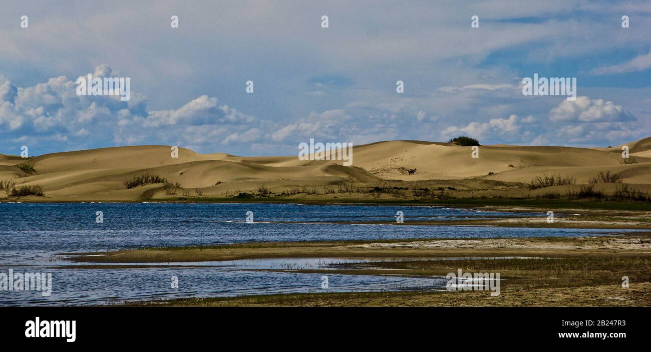Gobi petroglyphs mongolia hi-res stock photography and images - Alamy