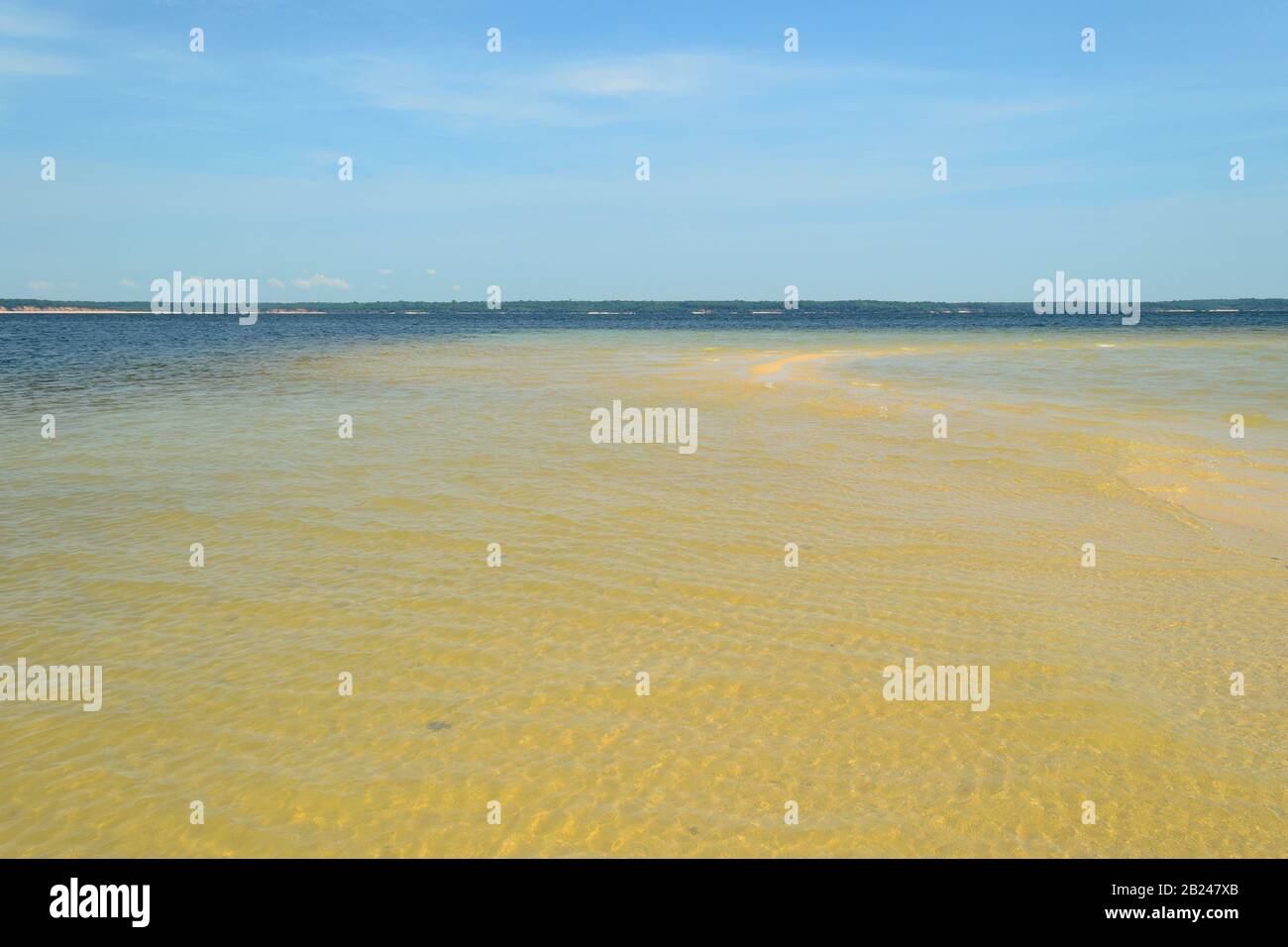 The clean and transparent water of the natural beaches of the Amazon ...