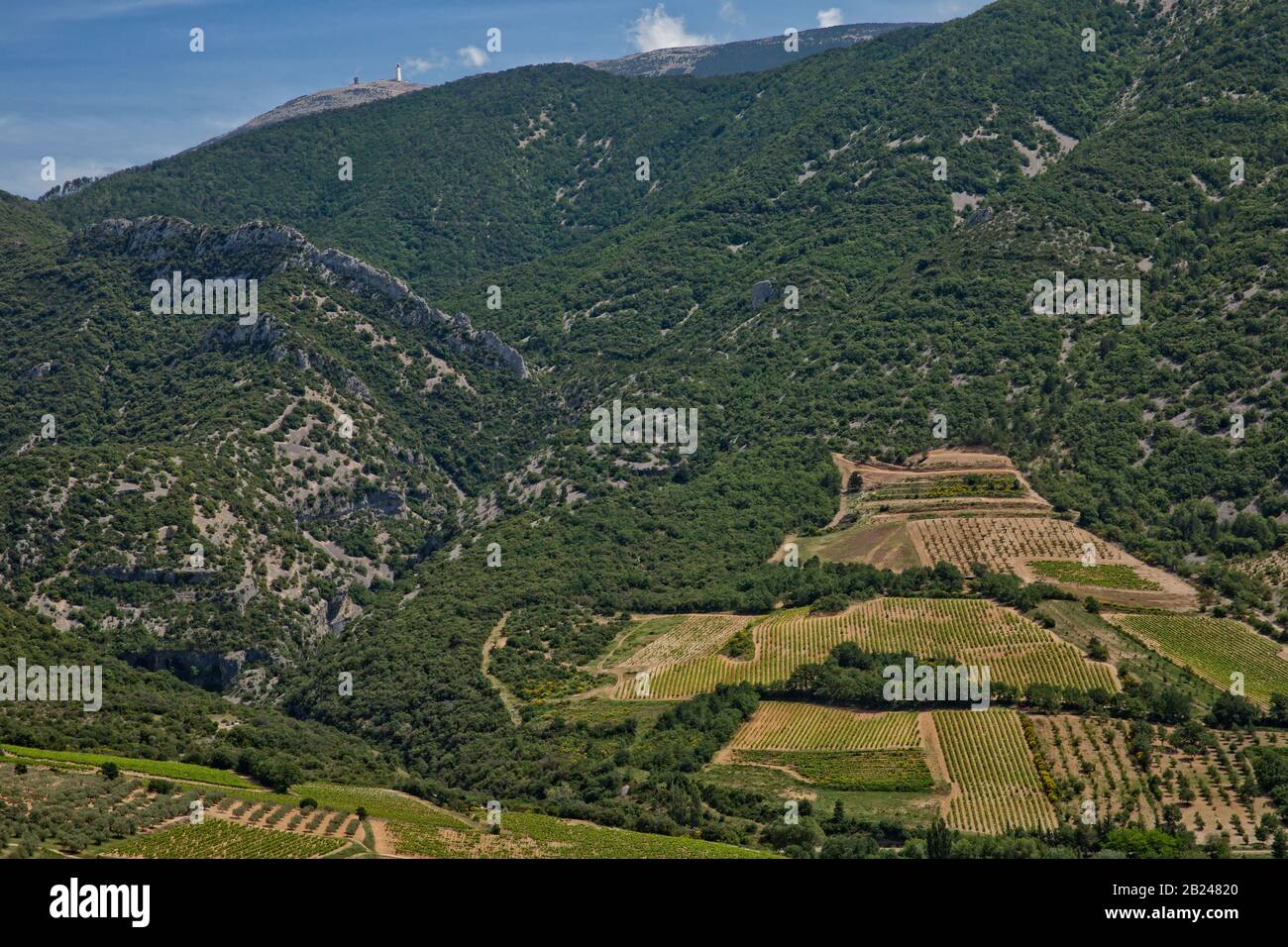 Ventoux wine region hi-res stock photography and images - Alamy