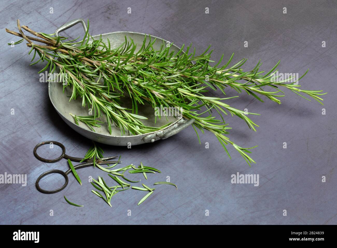 Rosemary twigs in shell hi-res stock photography and images - Alamy