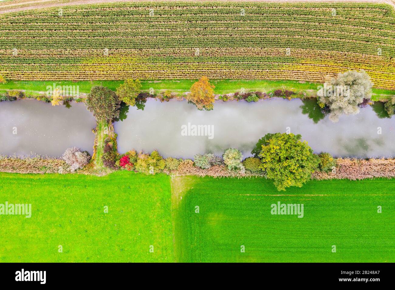 Fish ponds between cornfield and meadows from above, near Uebersee ...