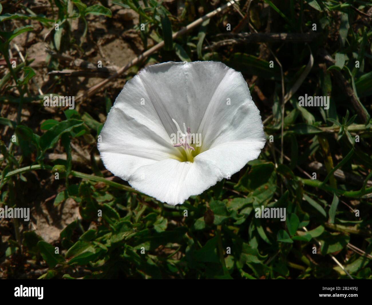 Great plains nature center hi-res stock photography and images - Alamy